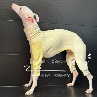 春季新品条纹四脚衣高弹柔软面料小灵缇惠比特细狗贝灵顿犬衣服