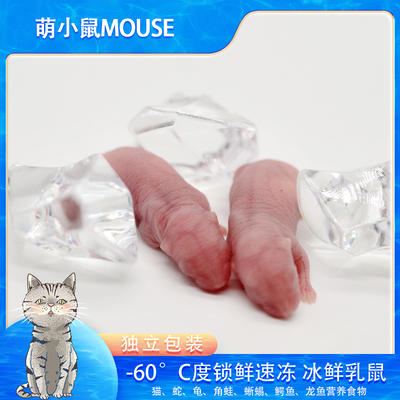 小白鼠冰冻乳鼠萌小鼠无菌速冻