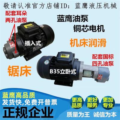 新款齿轮油泵带电机CB-B6/B10/B4/B16/B20/B25/B32JZ润滑LWBZ包邮