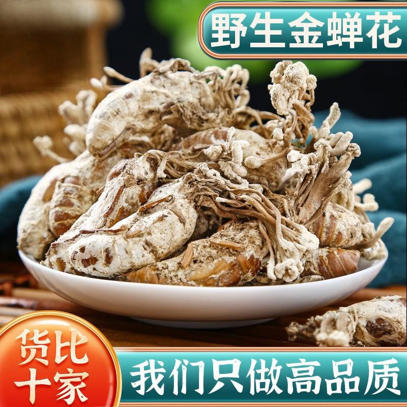 新货金蝉花500克现货 菌类药材知了花蝉菌 蝉蛹草 大虫草