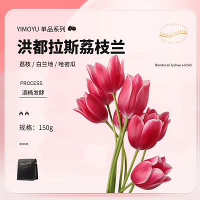 洪都拉斯白兰地酒香手冲冷萃黑咖