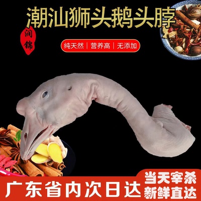 潮汕狮头鹅生鲜鹅头生鲜大鹅头鹅头颈纯鹅现杀农场散养包邮