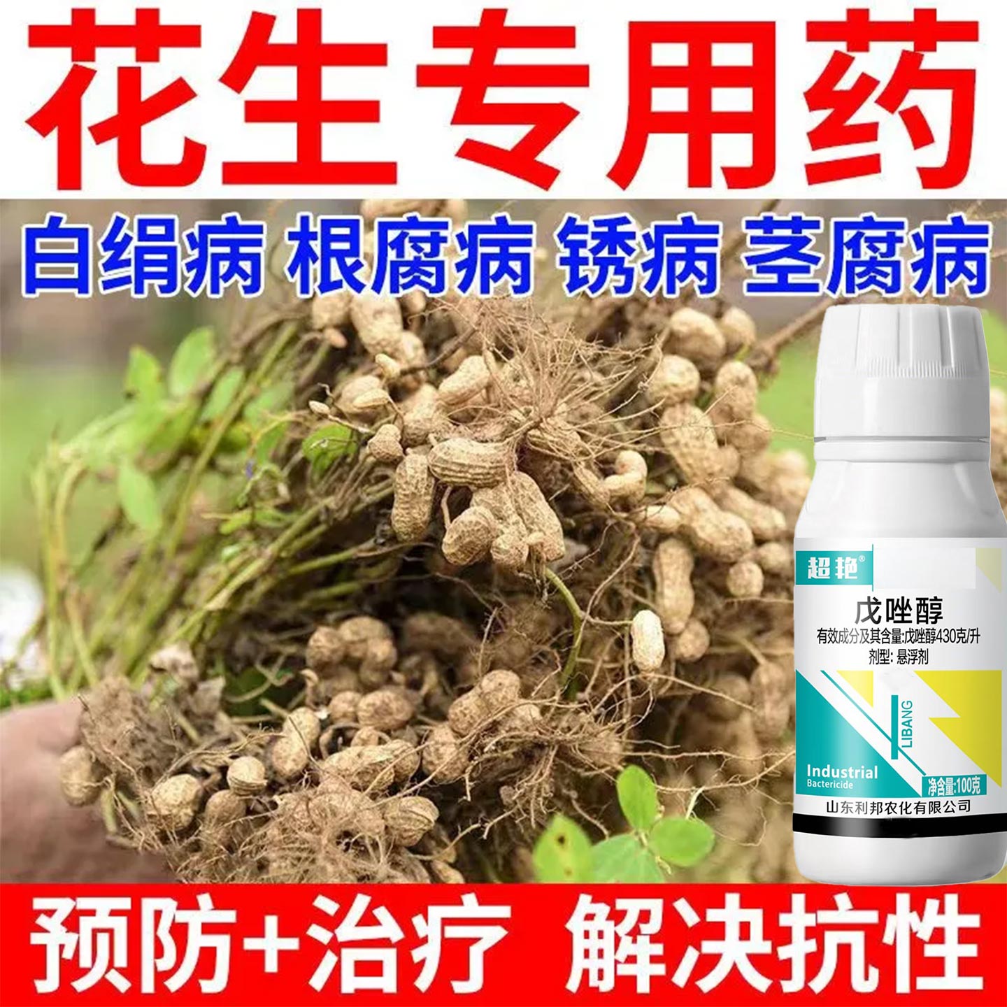 花生专用药枯萎病叶斑病白绢卷叶黄叶烂根死苗果腐正品花生病立清