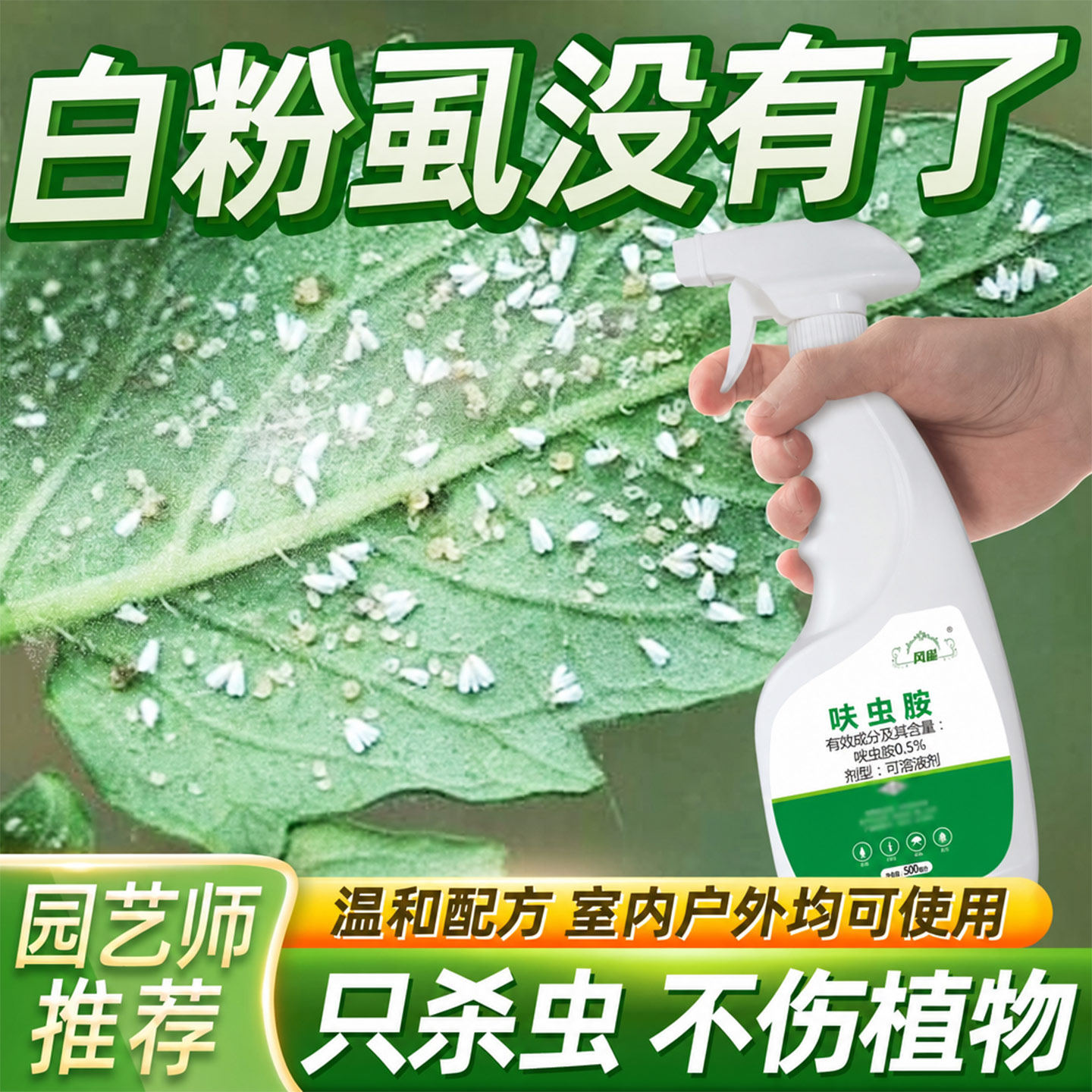 白粉虱杀虫剂花药白粉虱花卉专用植物通用白飞虱病白娥药虫卵双杀