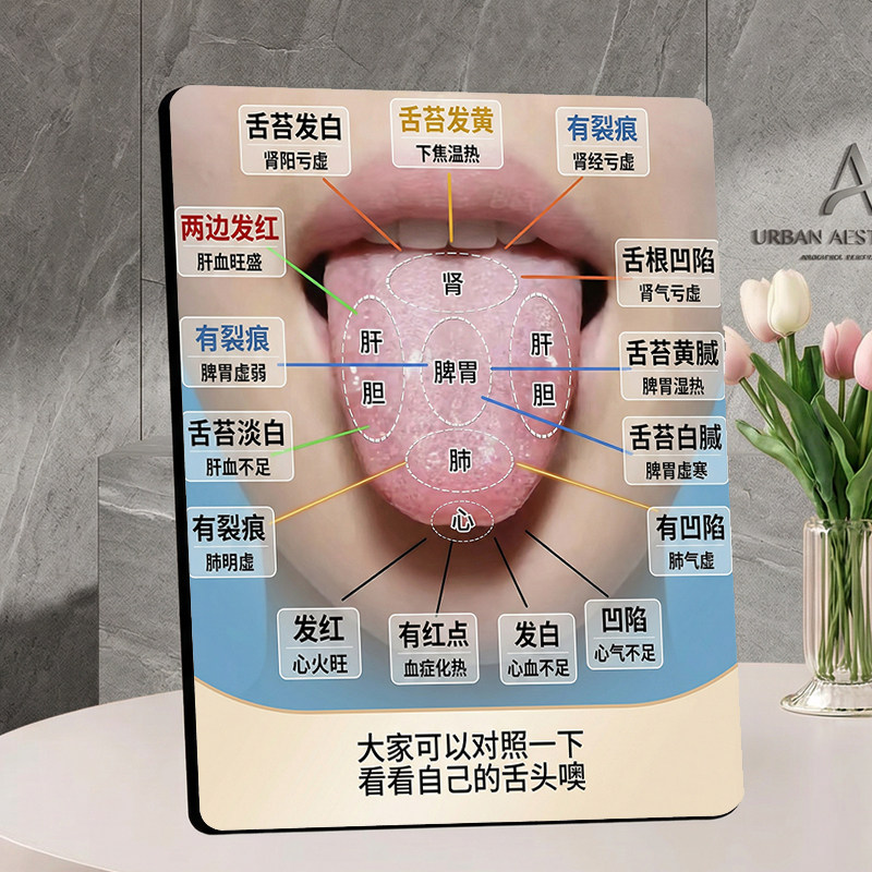 中医舌诊对照图摆件养生知识科普居家诊所桌面装饰参考立牌