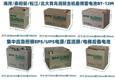 海湾GST松江北大青鸟消防主机EPS应急UPS蓄电池12V17AH24AH38AH