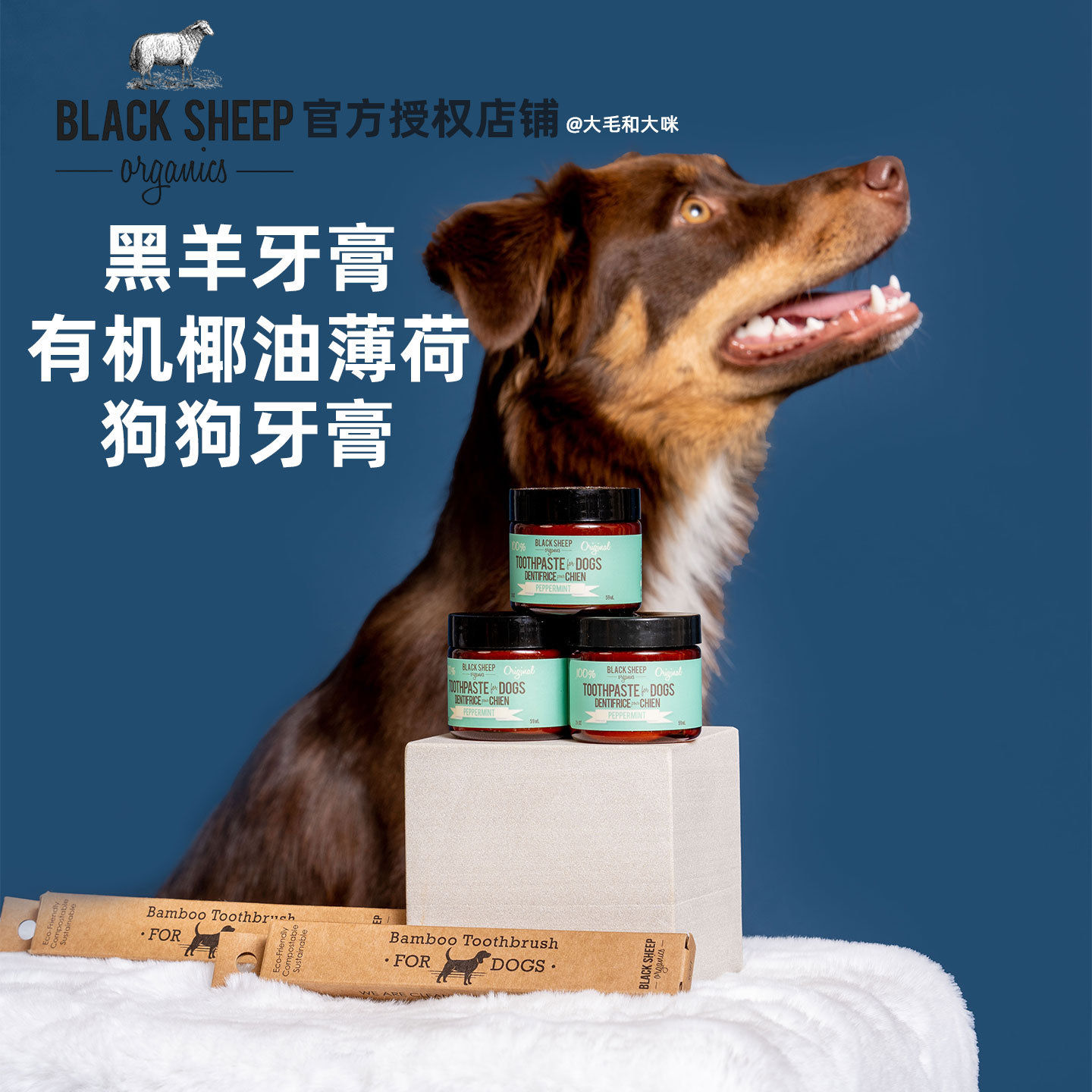加拿大BlackSheep狗狗牙膏宠物可食用黑羊牙膏清洁牙齿口臭牙结石