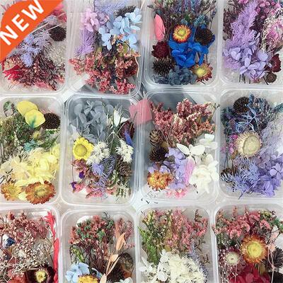 0g/box Dried Flowers for Resin PreservedFreshFlower Dried P