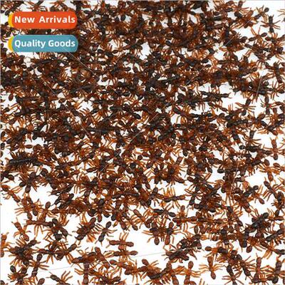 Ants toy model April Fool Day whole person toys weird toys h