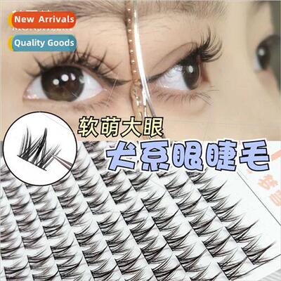 Innocent Dog Canine False Eyelash Female Natural mulation Ma
