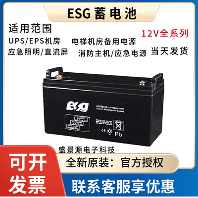 ESG蓄电池6GFM12V24AH40AH50AH65AH100AH120AH/EPS/UPS机房直流屏