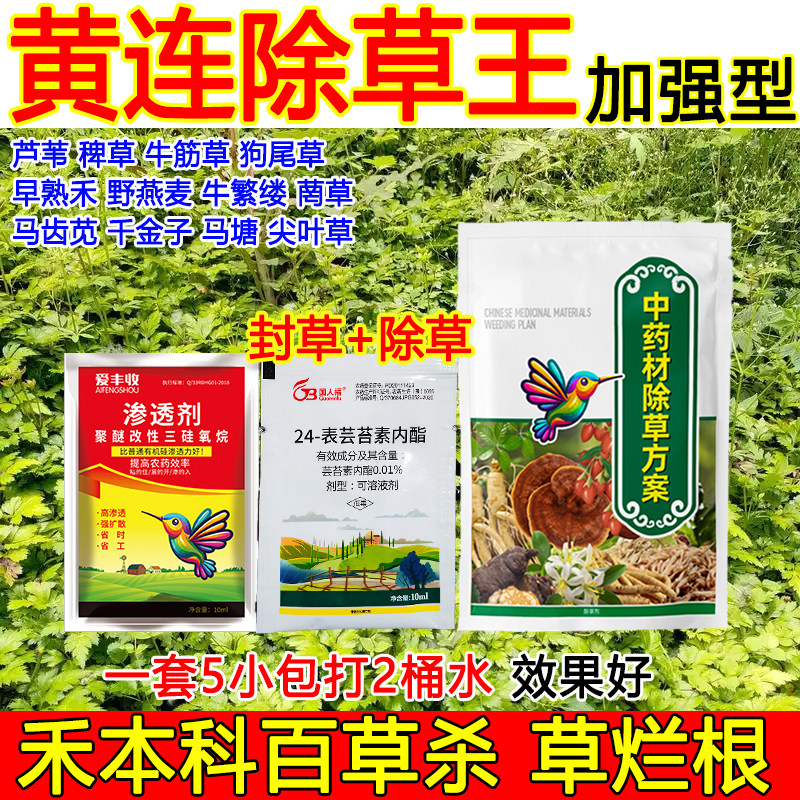 黄连除草剂黄连田除草剂杂草烂根不伤药材狗尾草牛筋草烂根除草剂