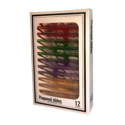12x Kids Prepared Microscope Slides Lab Supplies School