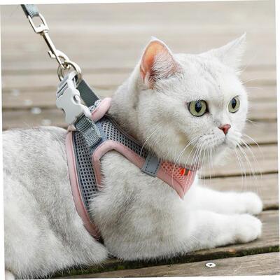 Breathable Cat Harness Leash Escape Proof Pet Clothes vest
