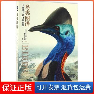 【保正版】鸟类图谱【英】卡特里娜·库克（Katrina Cook） 著 闻菲 译人民邮电出版社9787115432698