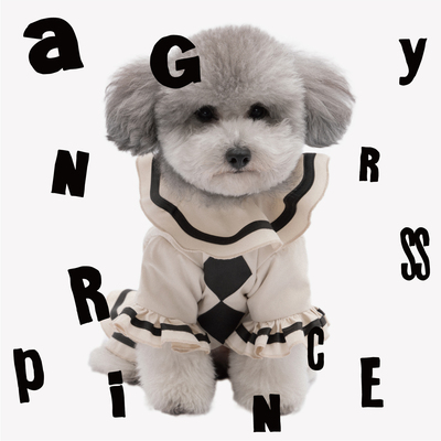 TAORAE中小型夹棉棉服小狗棉裙