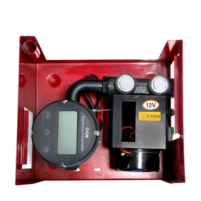 YTB-40直流总成加油泵12V24V220V电动抽油泵 卧式计量机械加油泵