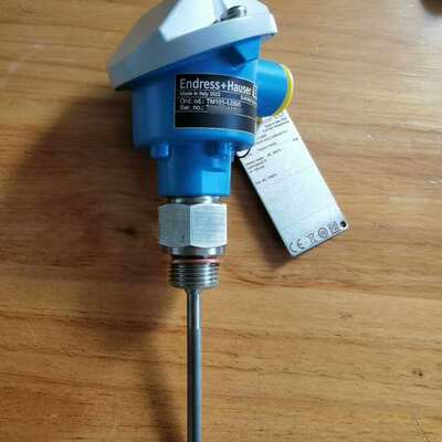 E+H 热电阻温度计TM101-AACCA4BA0A1A1（议价