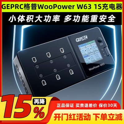 格普WooPowerw631s充电器