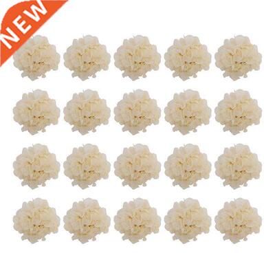 20 Pcs Tissue Paper Pom Poms Paper Pompoms Paper Flower