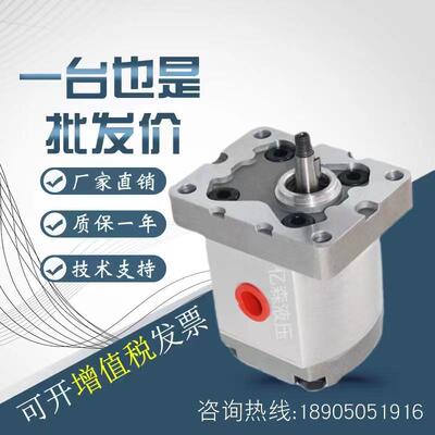 上海SDH大众齿轮泵CBT-F34/36/38/310/312/314/316/318/320/325