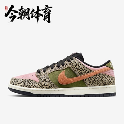 Nike/耐克 DUNK SB LOW x ARTS REC 男女运动休闲板鞋 IH3211-200