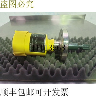 VEGA Vegaswing 63 涂层水平开关。 SWING63.CAAPHXPN