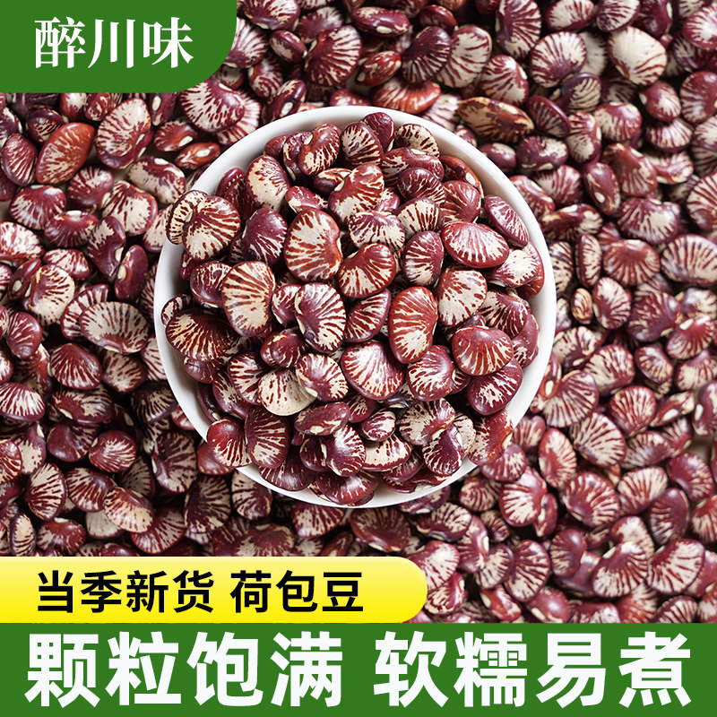 农家荷包豆新货5斤农家肾豆新鲜五谷杂粮豆类粗粮状元豆花芸豆