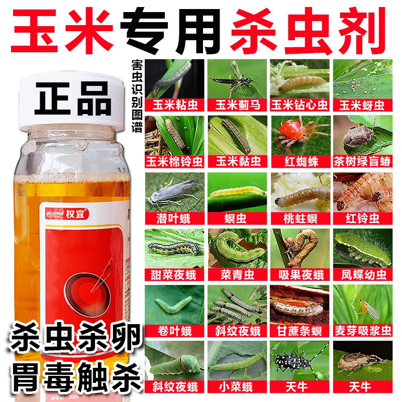 玉米专用杀虫药专打玉米食心虫钻心虫玉米螟专用地上地下杀虫农药