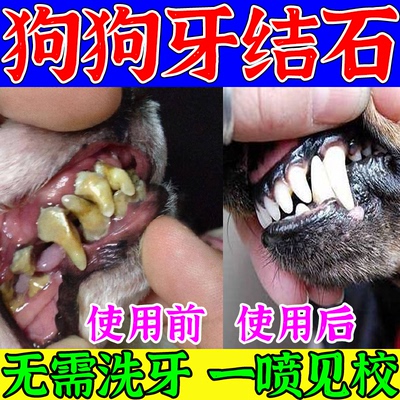 狗狗牙结石去除神器除口臭
