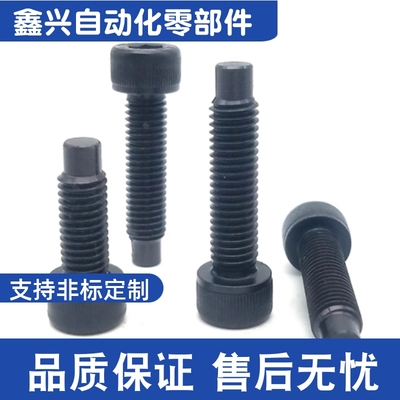 TAC51内六角凸头止动螺栓