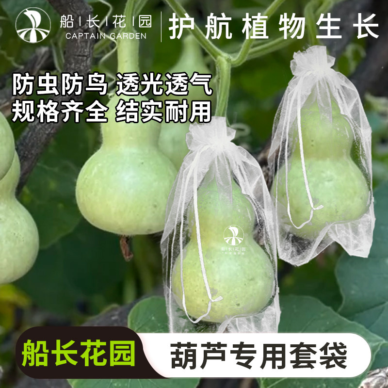 葫芦套袋专用果袋瓜果防虫袋水果蔬菜黄瓜茄子葡萄西瓜尼龙网纱袋