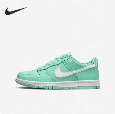 耐克Nike 绿白耐磨透气 女子低帮时尚百搭板鞋 DH9765-302