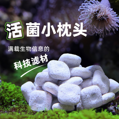 小丑鱼缸滤材过滤材料活菌石生物培菌球建立硝化系统高效开缸