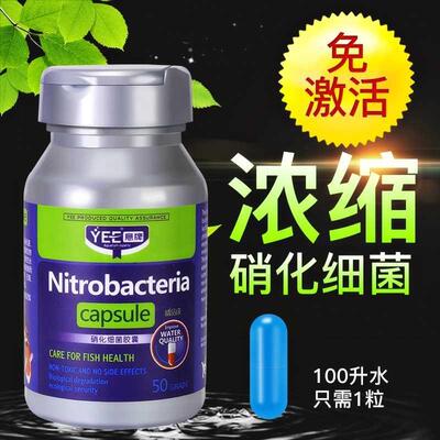 速发itrcteria fish tak aquium itrifyig bacteria y