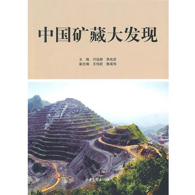 付迁顺,李兆庆　著中国矿藏大发现（正版旧书包邮）山东画报出版社9787547402504