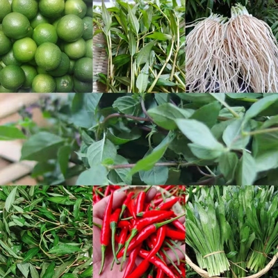 傣味新鲜香料多种香菜组合