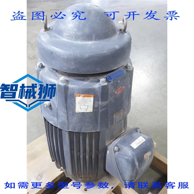 原装供应 25 马力 电机 垂直安装 230/460V 1180 RPM 324VPH 机架