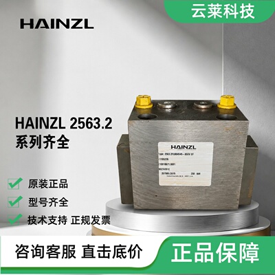 HAINZL液压缸2563.2FU804545-80UV E