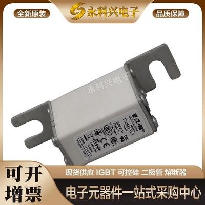 巴斯曼熔断器170M8641/8642/3188