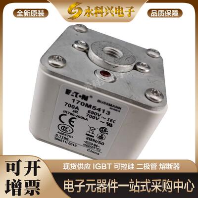 巴斯曼熔断器170M4447/5438/5439