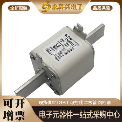 巴斯曼熔断器170M5468/6458/6459