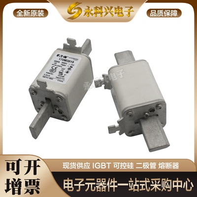 巴斯曼熔断器170M3370/3371/4358