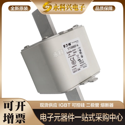 巴斯曼熔断器170M8618/8619/8620