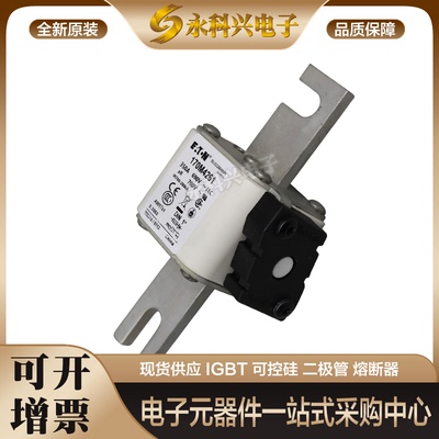 巴斯曼熔断器170M4363/4364/4365