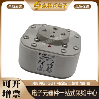 巴斯曼熔断器170M7098/7099/7100