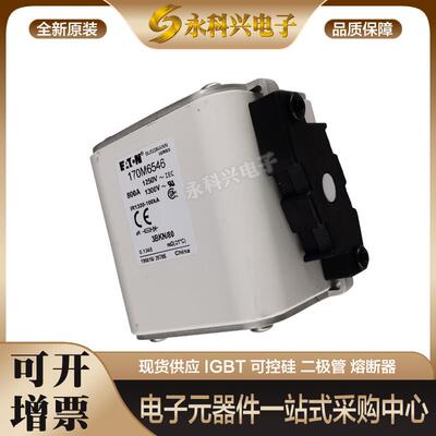 巴斯曼熔断器170M5716/5717/5718