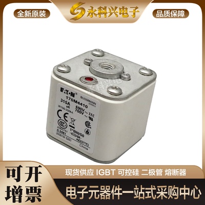 巴斯曼熔断器170M4688/4689/4690