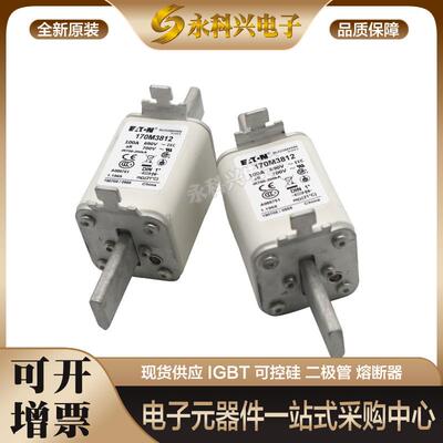 巴斯曼熔断器170M3444/3445/3446