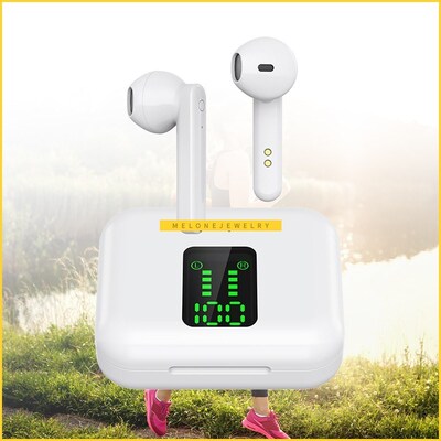 Wireless Bluetoooth 5.0 Earbuds ravel With Mic Hiking In Ea